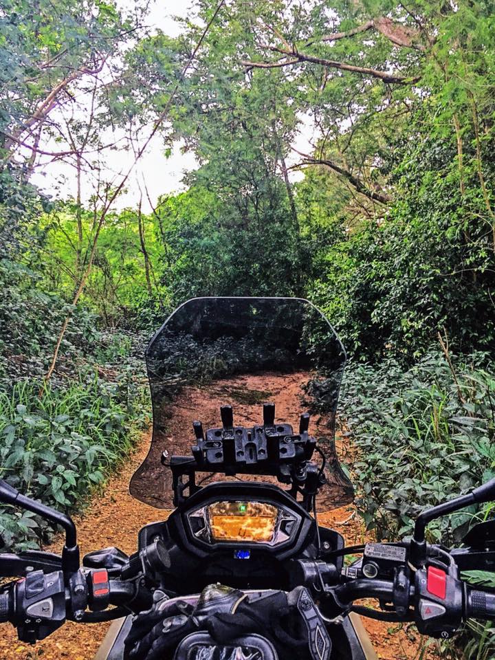 Motorcycle in Jungle of Thailand - Pattaya Motorcycle Tours
